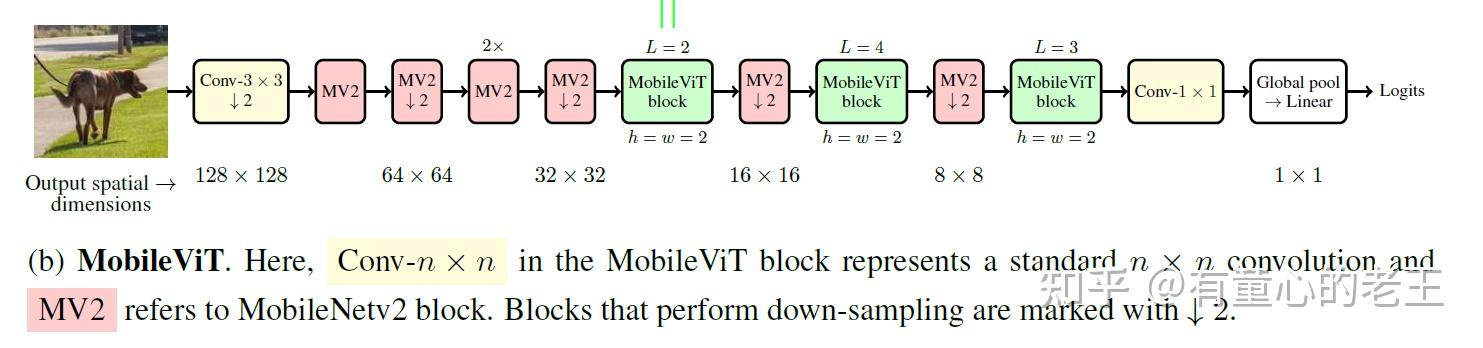 个人笔记 | 轻量化Vision Transformer的MobileVit - 知乎