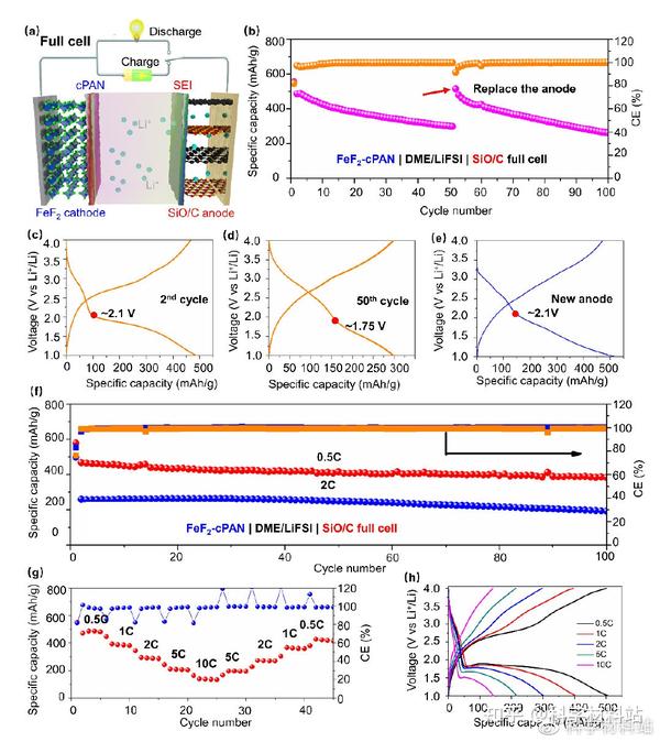 黄建宇团队EnSM：表面工程实现无粘结剂高性能FeF2正极基全电池的低温TEM研究 - 知乎