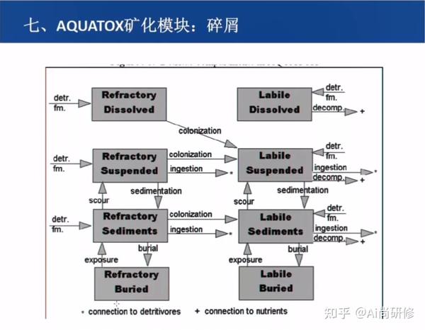 Ai尚研修干货分享 | AQUATOX水环境与水生态模型矿化模块、植物模块详解 - 知乎