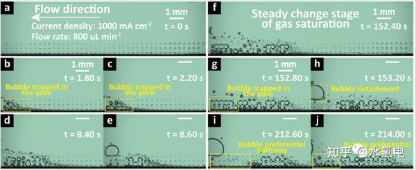 重大JPS：PEMWE阳极PTL气泡动态行为 - 知乎