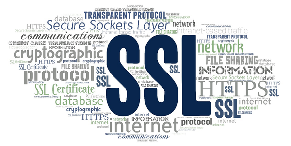 Openssl生成ssl证书,受浏览器信任吗? 知乎