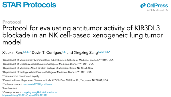 STAR Protocols︱臧星星团队发表利用基于NK细胞人源化肿瘤模型评估 KIR3DL3 阻断性抗体肿瘤免疫治疗的实验方案 - 知乎