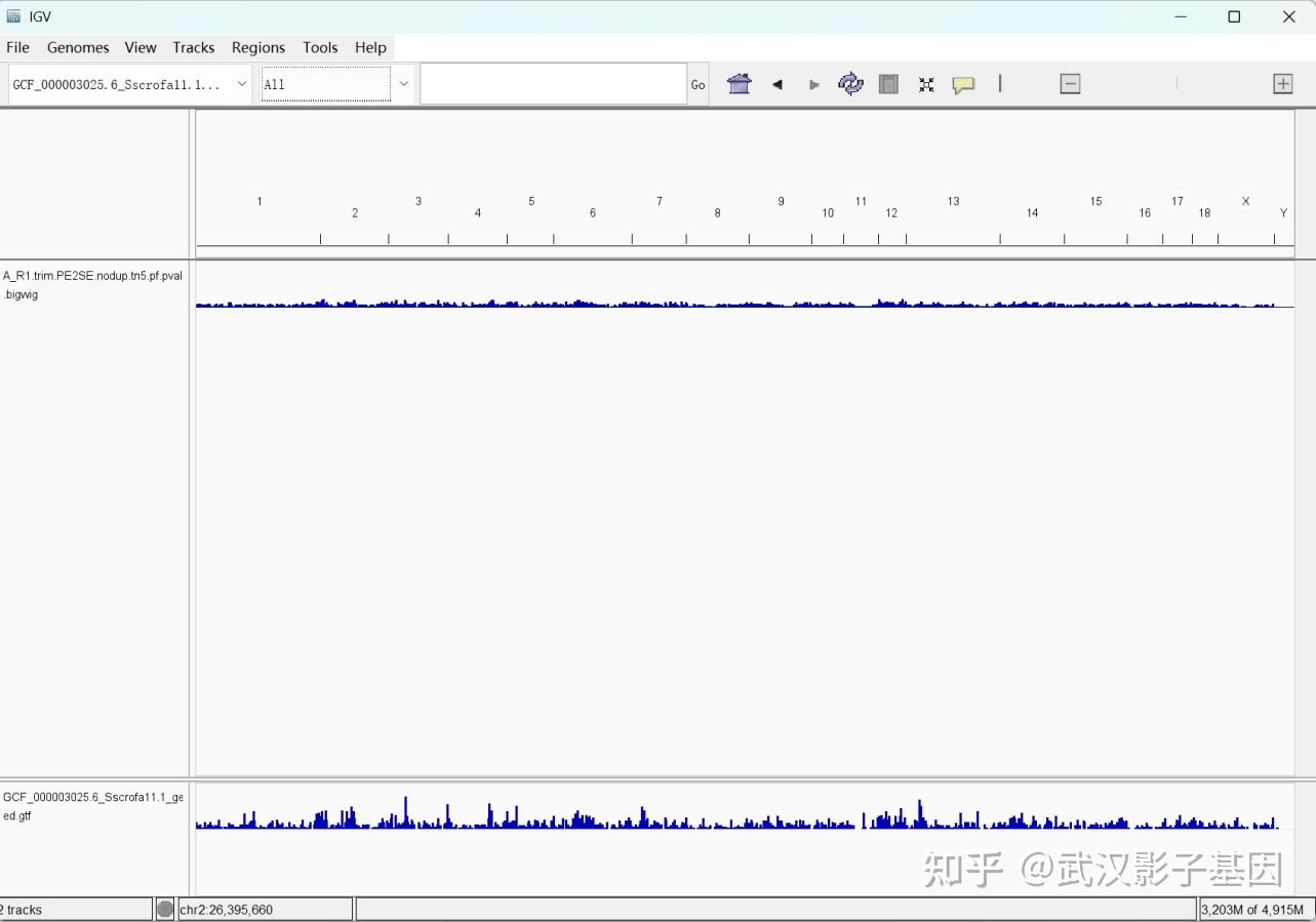 IGV使用教程（图文） - 知乎