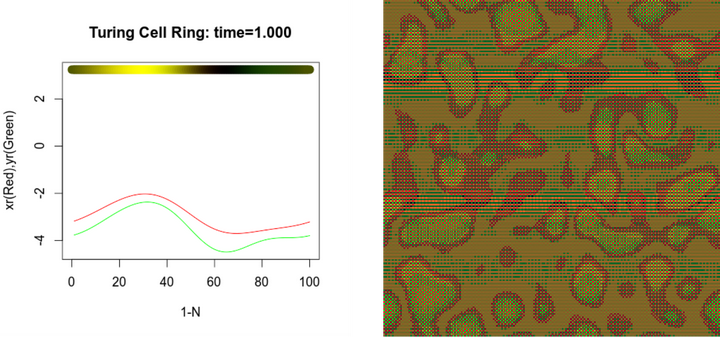 一切复杂都来源于简单的叠加（5）图灵模式——Turing Pattern - 知乎