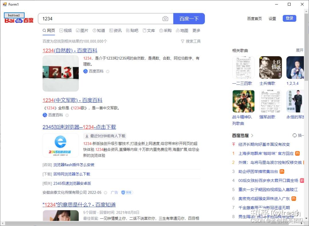 .Net WebView2 项目，实现 嵌入 WEB 页面 Chromium内核