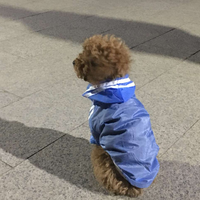 Materials Studio 2020 Linux端 安装流程 - 知乎