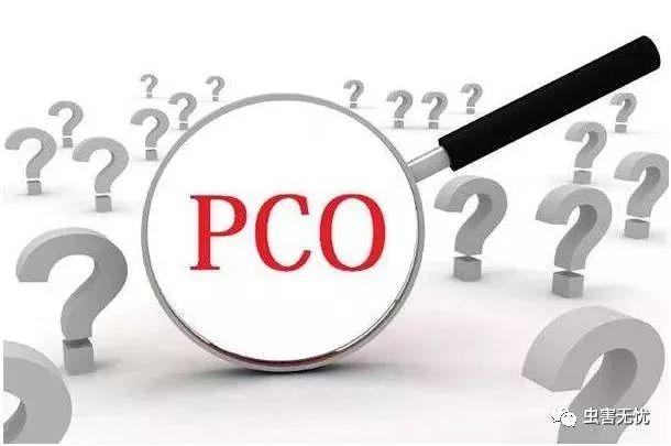 什么是“PCO”？ - 知乎