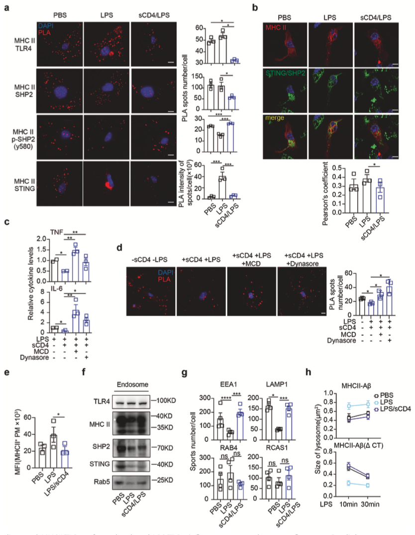 STTT丨IF：39.3丨可溶性 CD4 可有效防止脓毒症常驻巨噬细胞的 TLR 过度激活 - 知乎