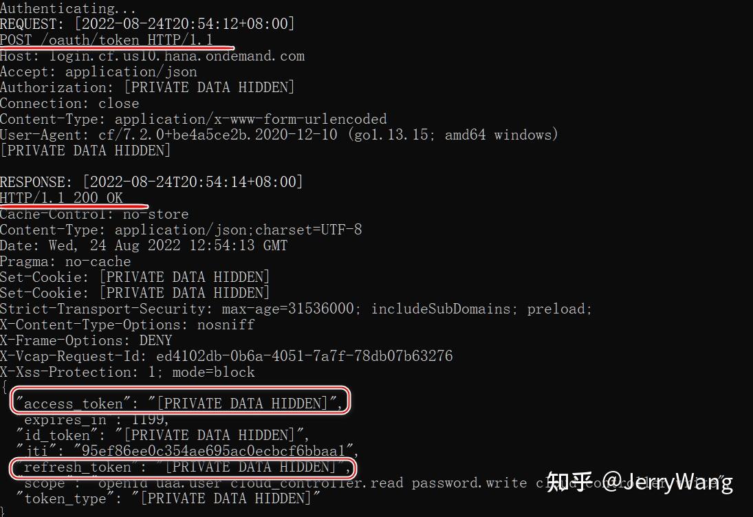 关于使用命令行 cf login 登录 SAP BTP CloudFoundry 环境的问题 - 知乎