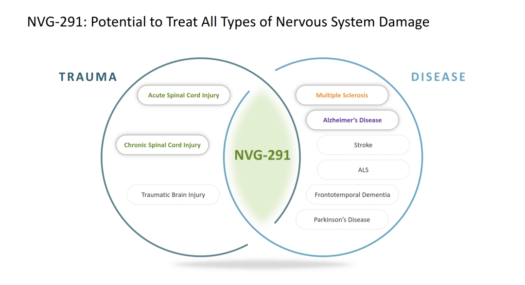 一图速览 | 神经再生的希望 NervGen - 知乎