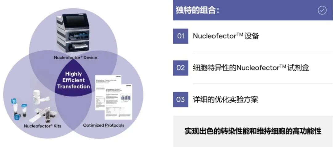 电转百科指南③：手把手教程来了，20种常用细胞的实验方案-上海玮驰仪器有限公司