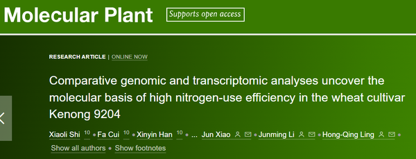 《Molecular Plant》新思路：比较转录组+比较基因组研究小麦高效氮利用分子机制 - 知乎