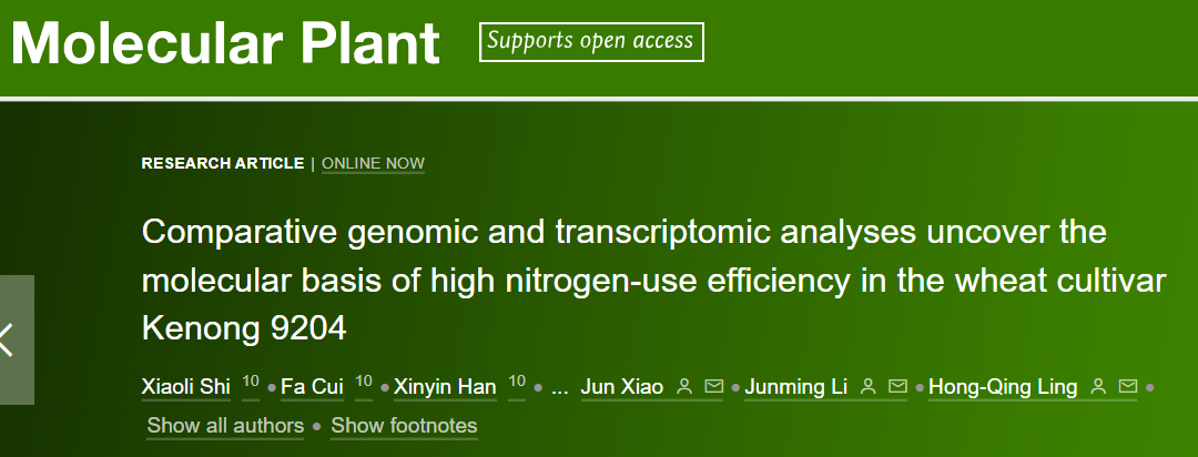 《Molecular Plant》新思路：比较转录组+比较基因组研究小麦高效氮利用分子机制 - 知乎