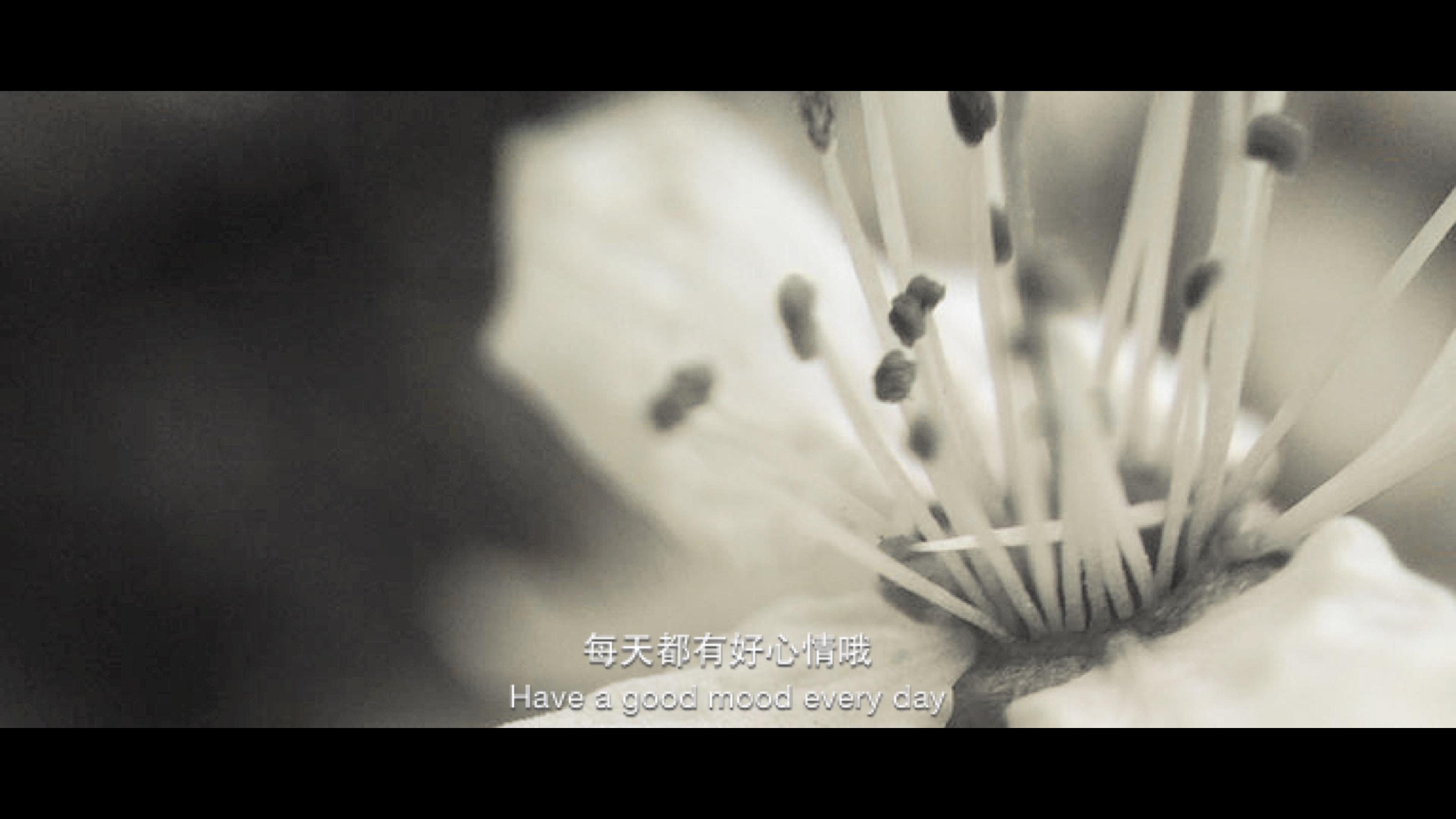 兄弟，醒醒吧，生活还得继续！ 知乎