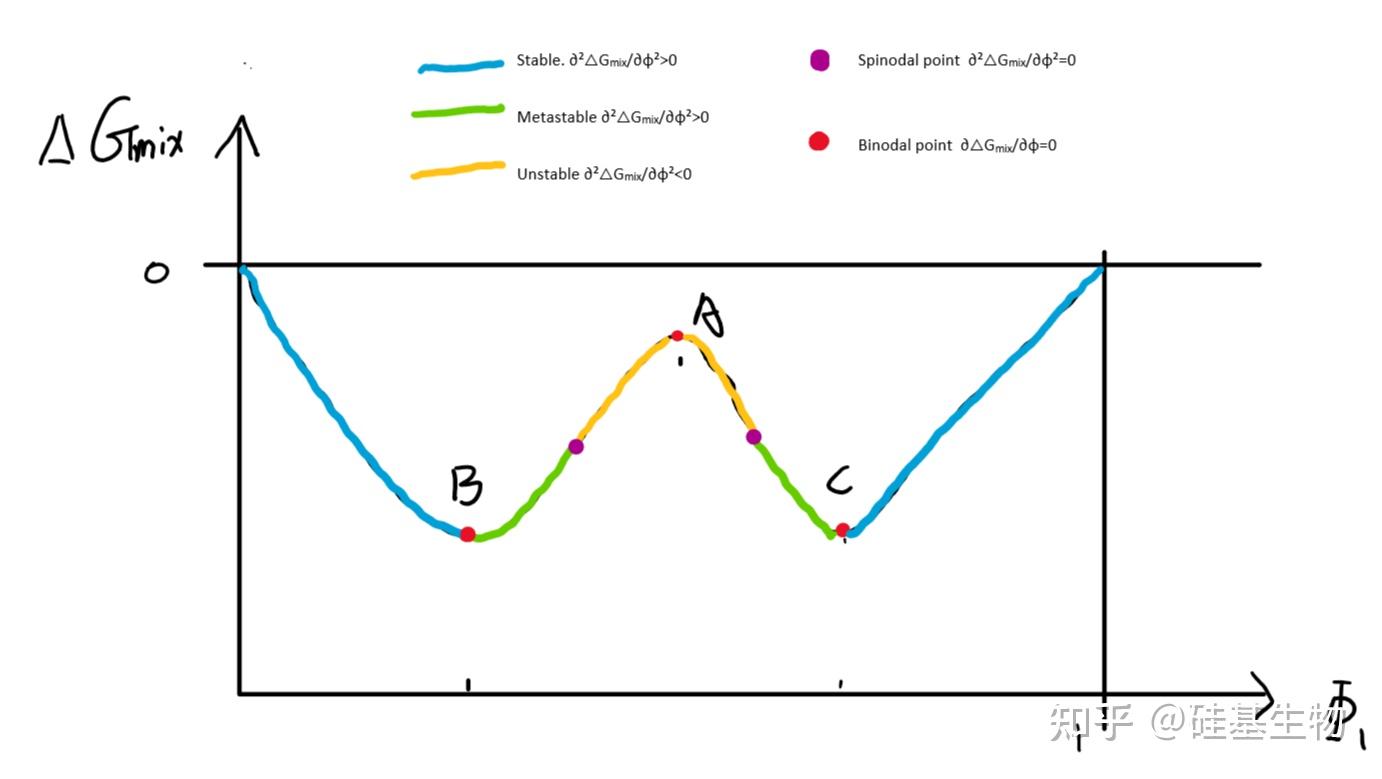 UCST, LCST and polymer solution mixing（聚合物溶液的混合，自由能-组分曲线与温度-组分图） - 知乎