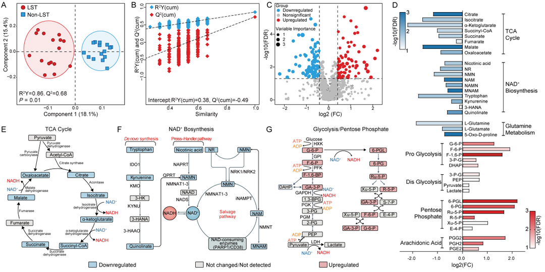 Redox Biol︱王雪玢团队揭示2型糖尿病合并晚期支架内血栓的血小板能量组和代谢组特征 - 知乎