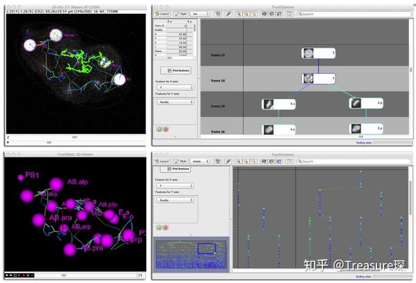 ImageJ实用技巧——2D细胞自动追踪(插件篇) - 知乎