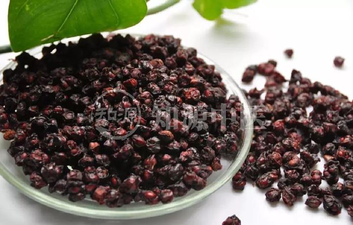 【走进中药】-五味子-知源中医 - 知乎