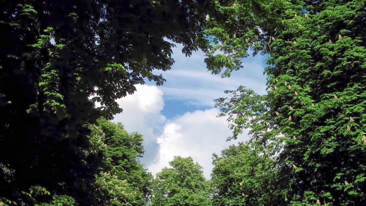 2013年英语专四TEM4·语言运用解析 - 知乎