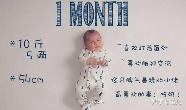 1到12月婴儿发育过程图12张图解答婴儿每个月的成长变化 知乎