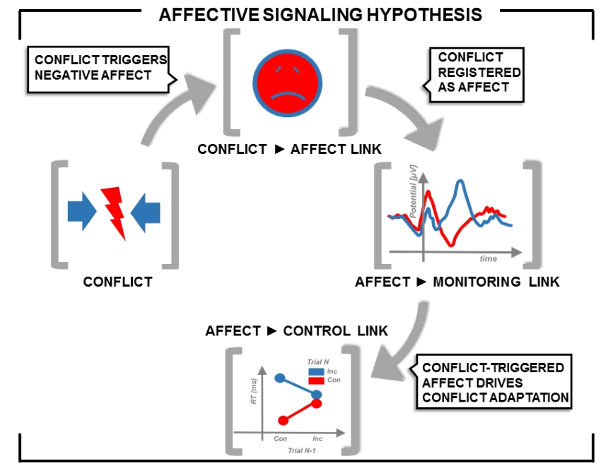 冲突适应效应的本质挖掘及其意义 - 知乎