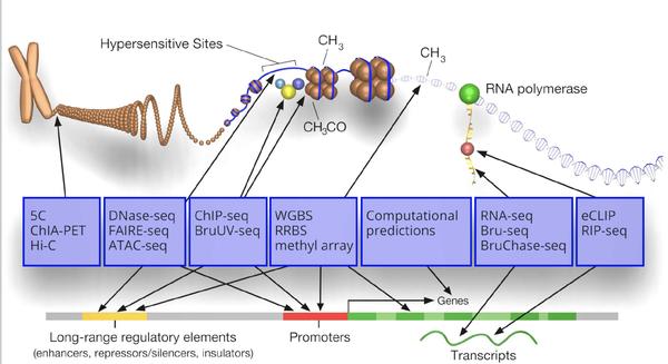 不用编程就能分析ChIP-seq数据 - 知乎