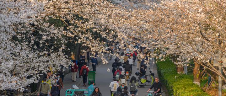 深入探索 Rust 的 clap 库：命令行解析的艺术 - 知乎