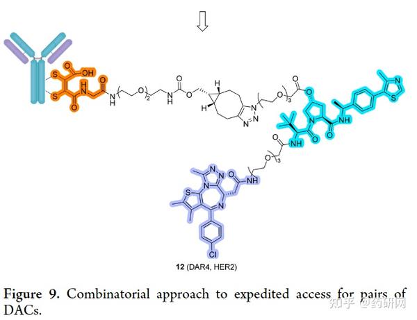 新模式的兴起 —— 降解抗体偶联药物（DAC） - 知乎