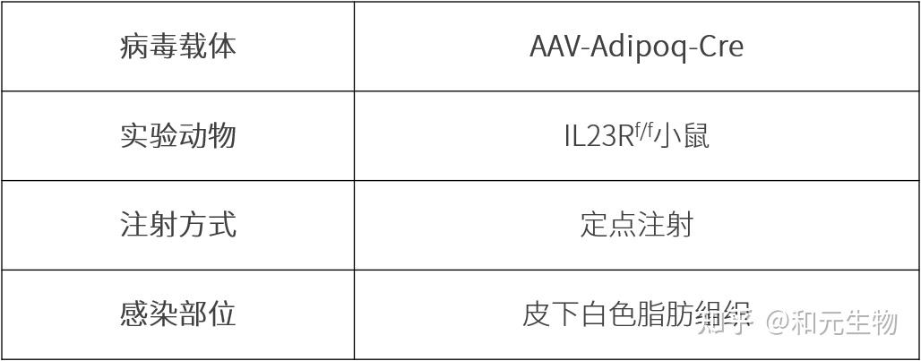 【Cre-LoxP系统】经验篇 | AAV-Cre在不同器官中的应用 - 知乎