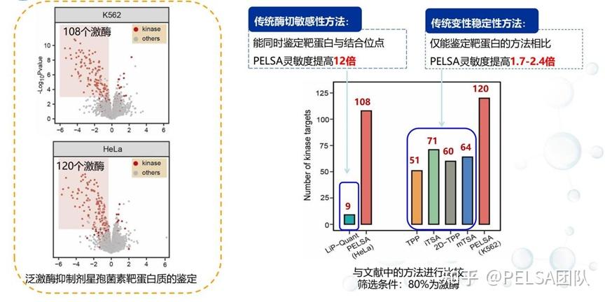 从Cell到Nature Methods:小分子结合蛋白质鉴定技术PELSA的艰辛发表历程 - 知乎