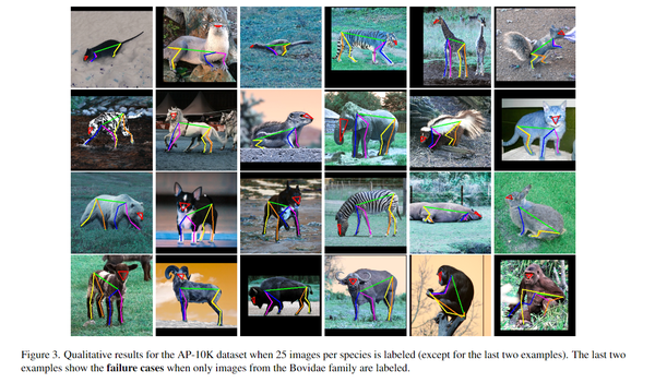 ScarceNet: Animal Pose Estimation with Scarce Annotations 论文解读 - 知乎