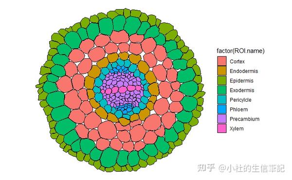 如何绘制植物组织特异性热图？ - 知乎