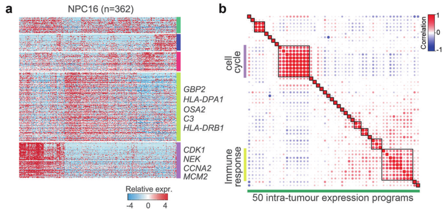 单细胞分析实录(16): 非负矩阵分解(NMF)检测细胞异质性 - 知乎