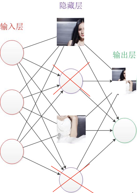 CNN 入门讲解：什么是dropout? - 知乎
