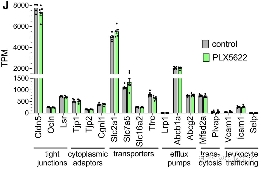 《神经元》：科学家首次发现，小胶质细胞对于健康的血脑屏障竟然不是必需的！ - 知乎