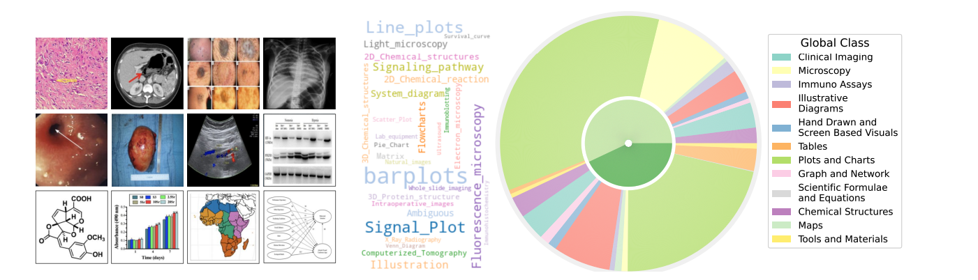 BIOMEDICA：开源的生物医学图像与文本配对数据集及模型 - 知乎