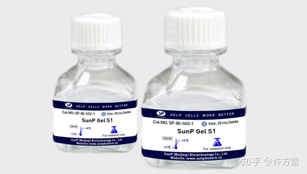 上普 SunP Biotech | 3D生物打印和制造先进生物打印产品 - 知乎