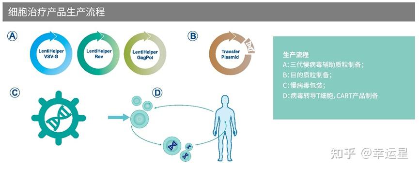 CAR-T细胞治疗产品中复制型病毒控制的监管要求 - 知乎