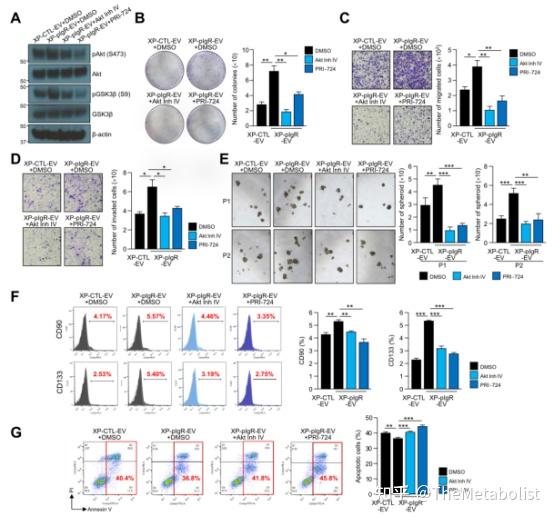 代谢学人--Journal of Hepatology：促癌祸手-pIgR小囊泡 - 知乎