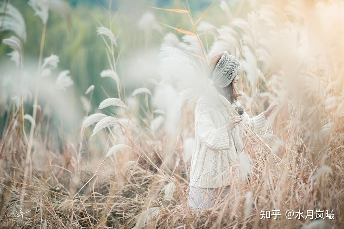十一月：秋已深，冬将至，人间至此秋色尽，一世繁华一世荒 知乎