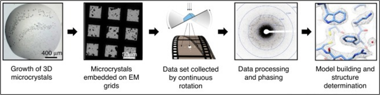 结构生物学综述｜微晶电子衍射MicroED、冷冻电镜SPA与X射线衍射是如何互补 - 知乎