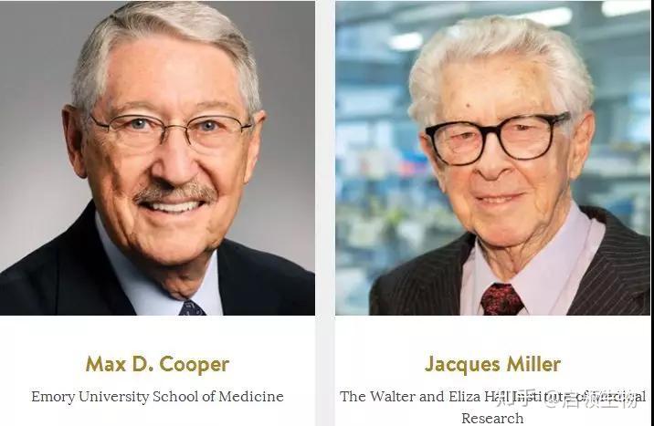 2019 “不得不谈”的拉斯克奖 - 知乎