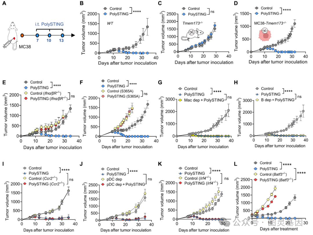 Sci Immu ｜ 德克萨斯大学高金明：激活输突细胞STING通路增强抗肿瘤免疫 - 知乎