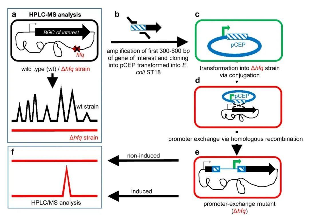 Bio-protocol | 2023年7月5日最新上线实验方案目录 - 知乎