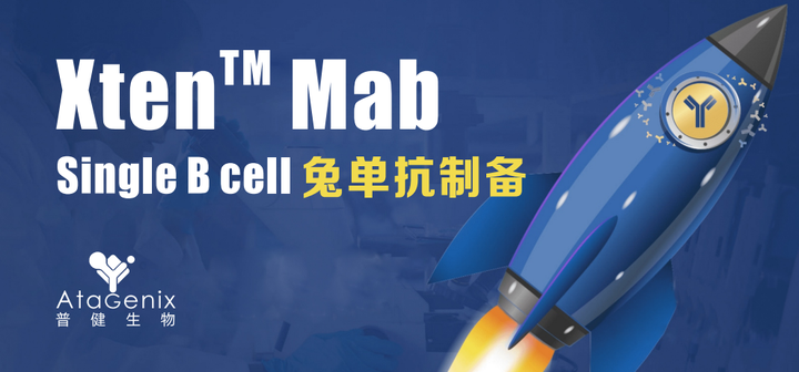 普健生物xten™ Mab Single B兔单克隆抗体开发案例 知乎
