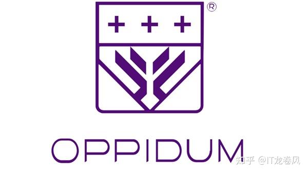 OPPIDUM：打造地下世界顶级豪华庇护所的瑞士公司 - 知乎