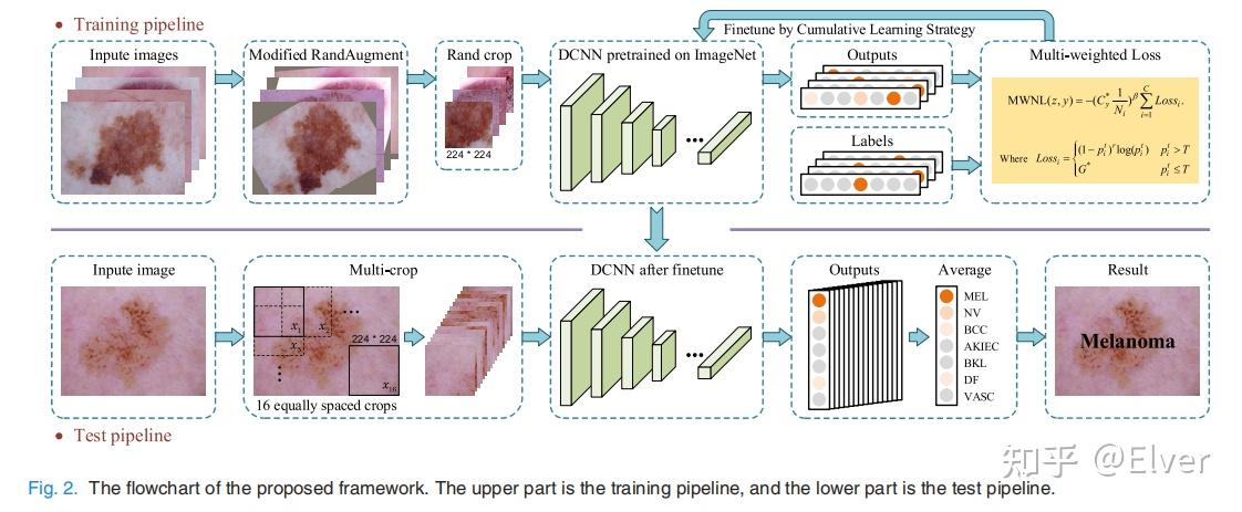 Long-tailed Image classification医学文章总结 - 知乎