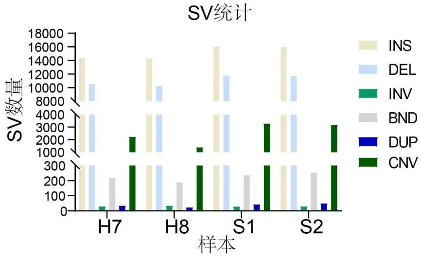 基因组测序获得了HiFi、Hi-C和DNB数据，后续应该如何分析？ - 知乎