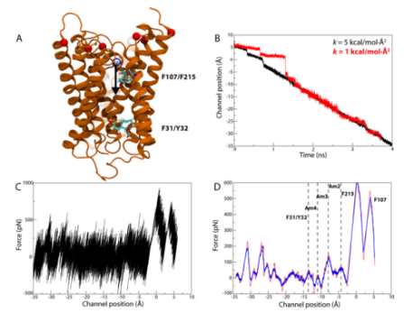 详细介绍NAMD是什么？以及如何学习“NAMD分子动力学模拟”在生物及材料计算中的应用 - 知乎