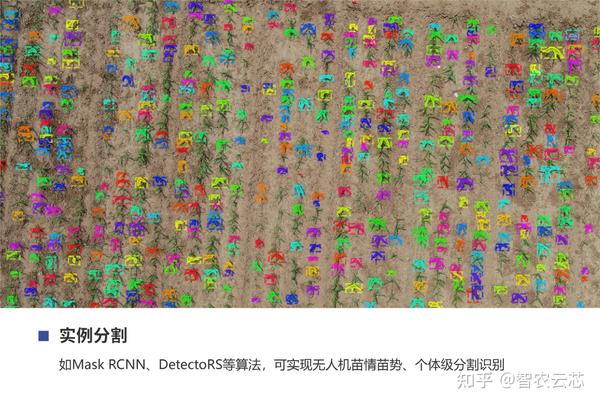 植物表型AI算法平台PhenoAI Flow - 知乎